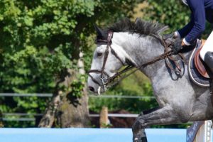 NSEA National Championships - Addington