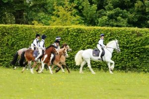 Vale of Aylesbury Pony Club - Addington