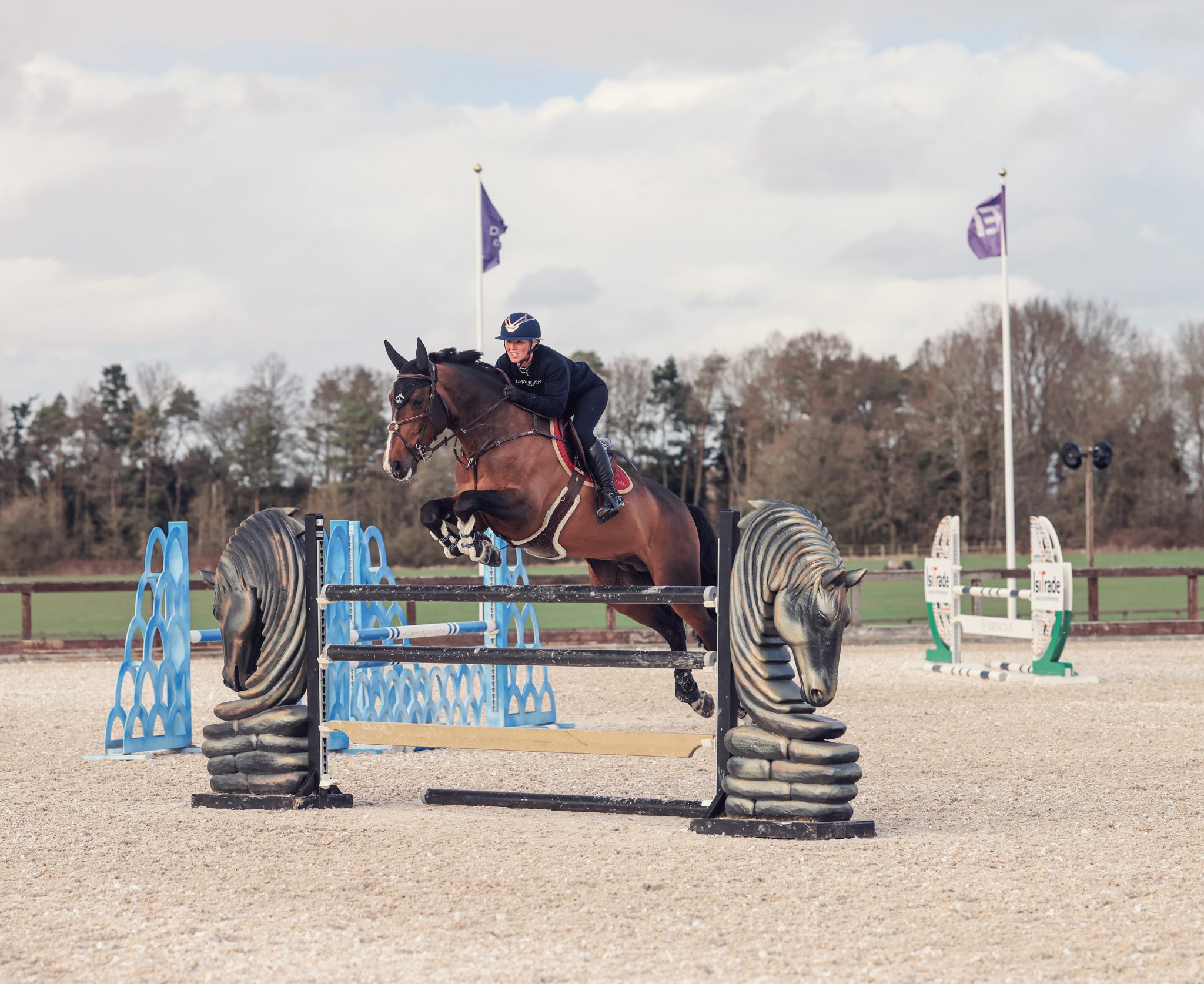 Addington Equestrian Training Show - Addington