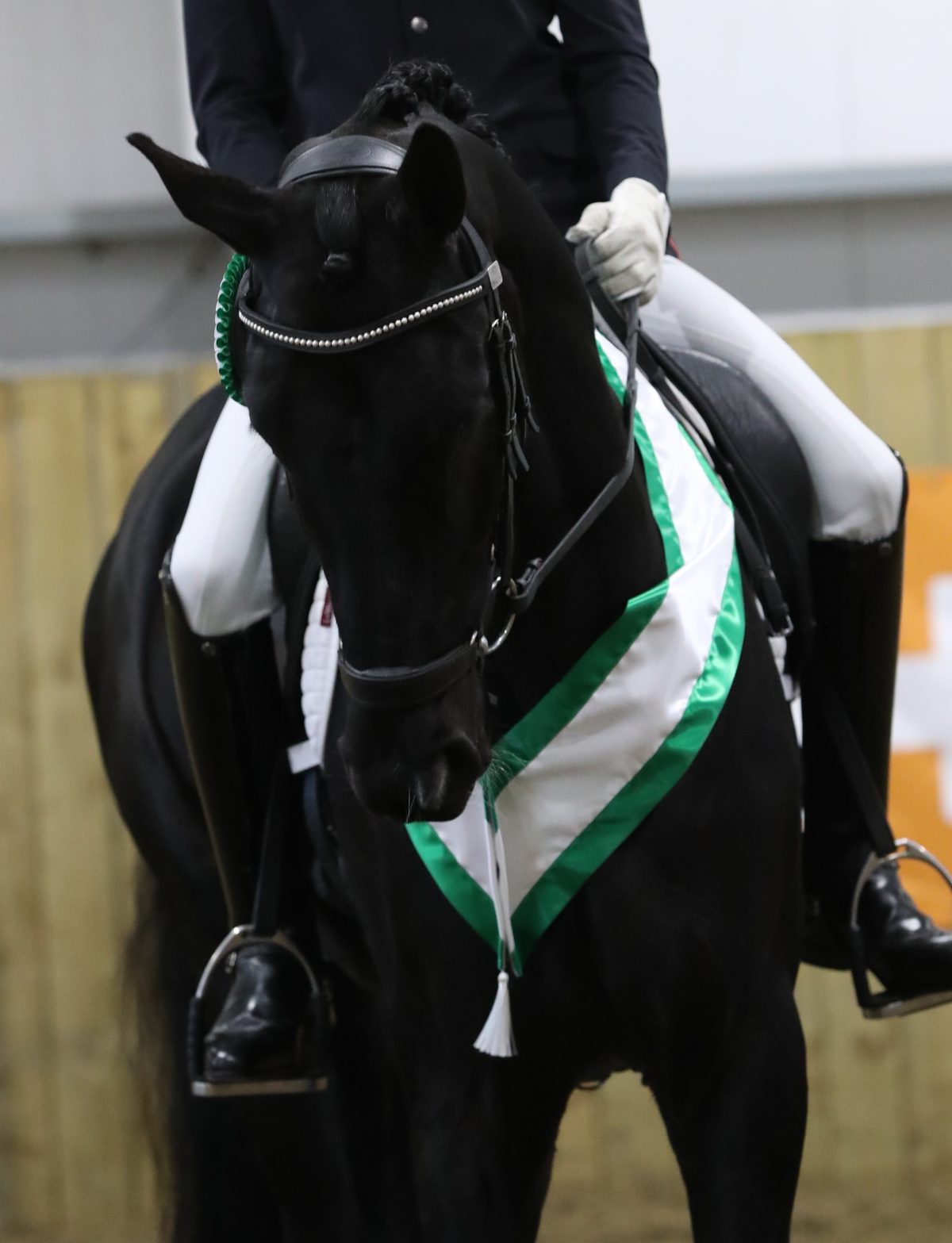 Events from April 29 – May 18 – Addington